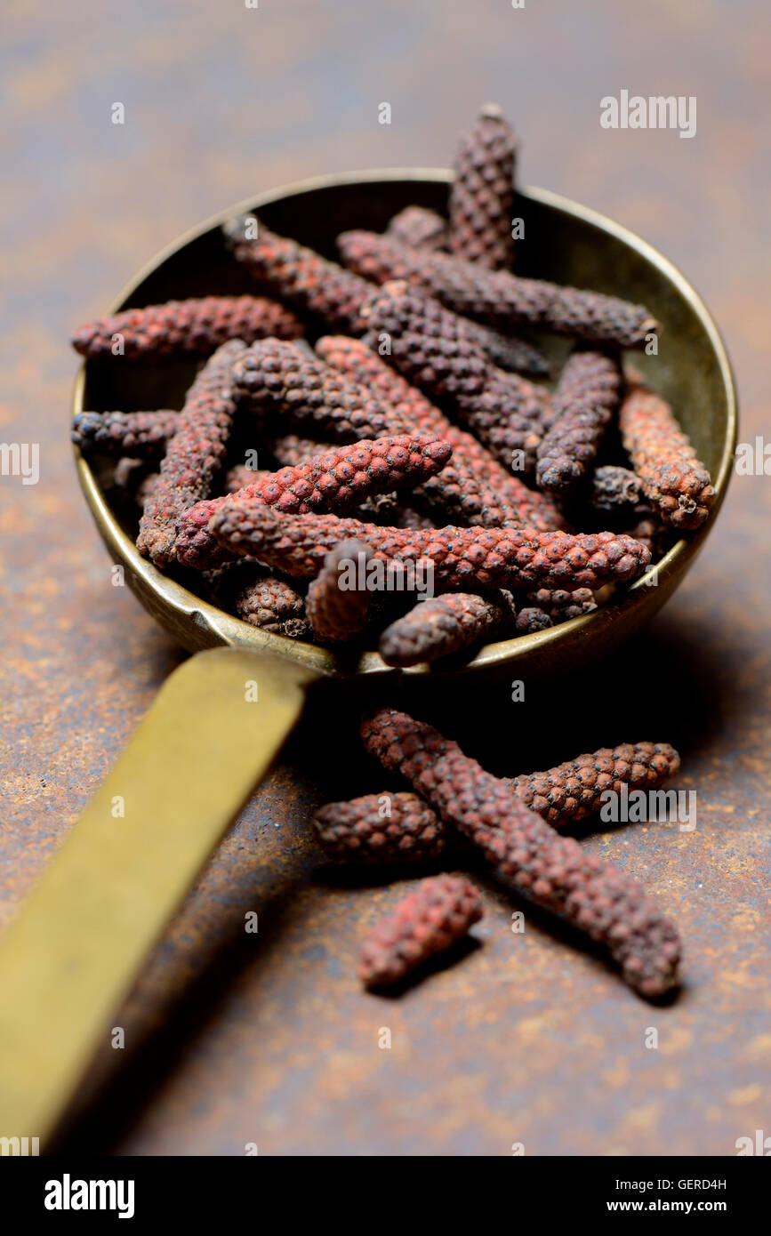 Roter kampot pfeffer in messingkelle hi-res stock photography and ...