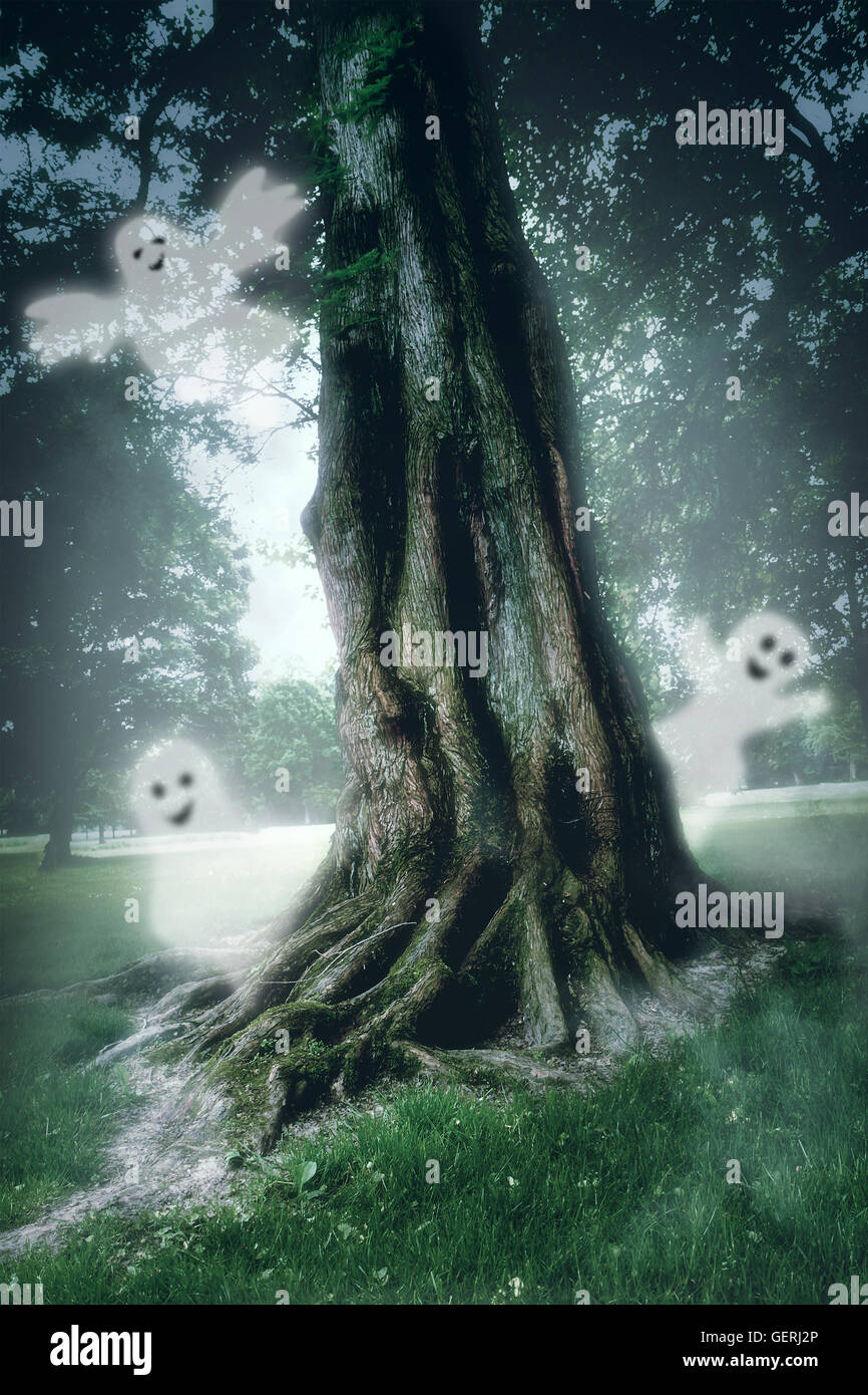 Large tree in the mist in the magic forest and ghosts Stock Photo - Alamy