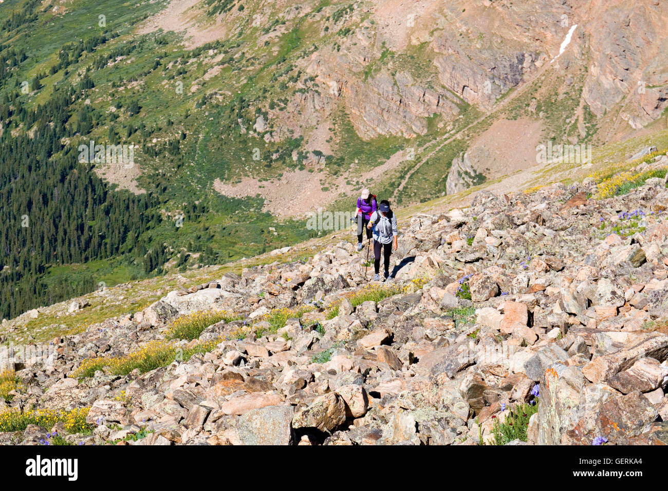 Hikers on Mount Massive Colorado Stock Photo - Alamy