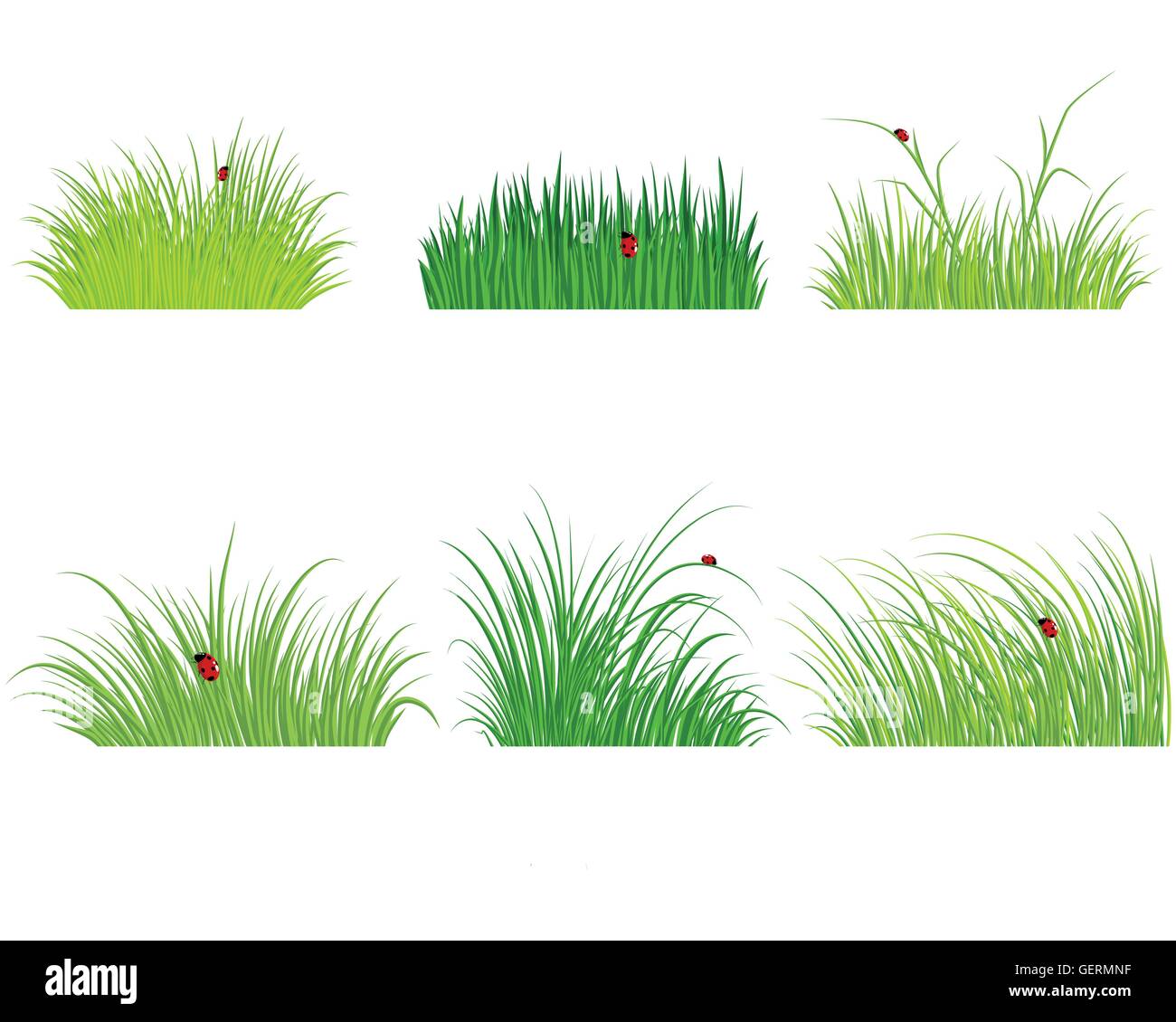 Vector illustration of a six green grass set Stock Vector Image & Art ...
