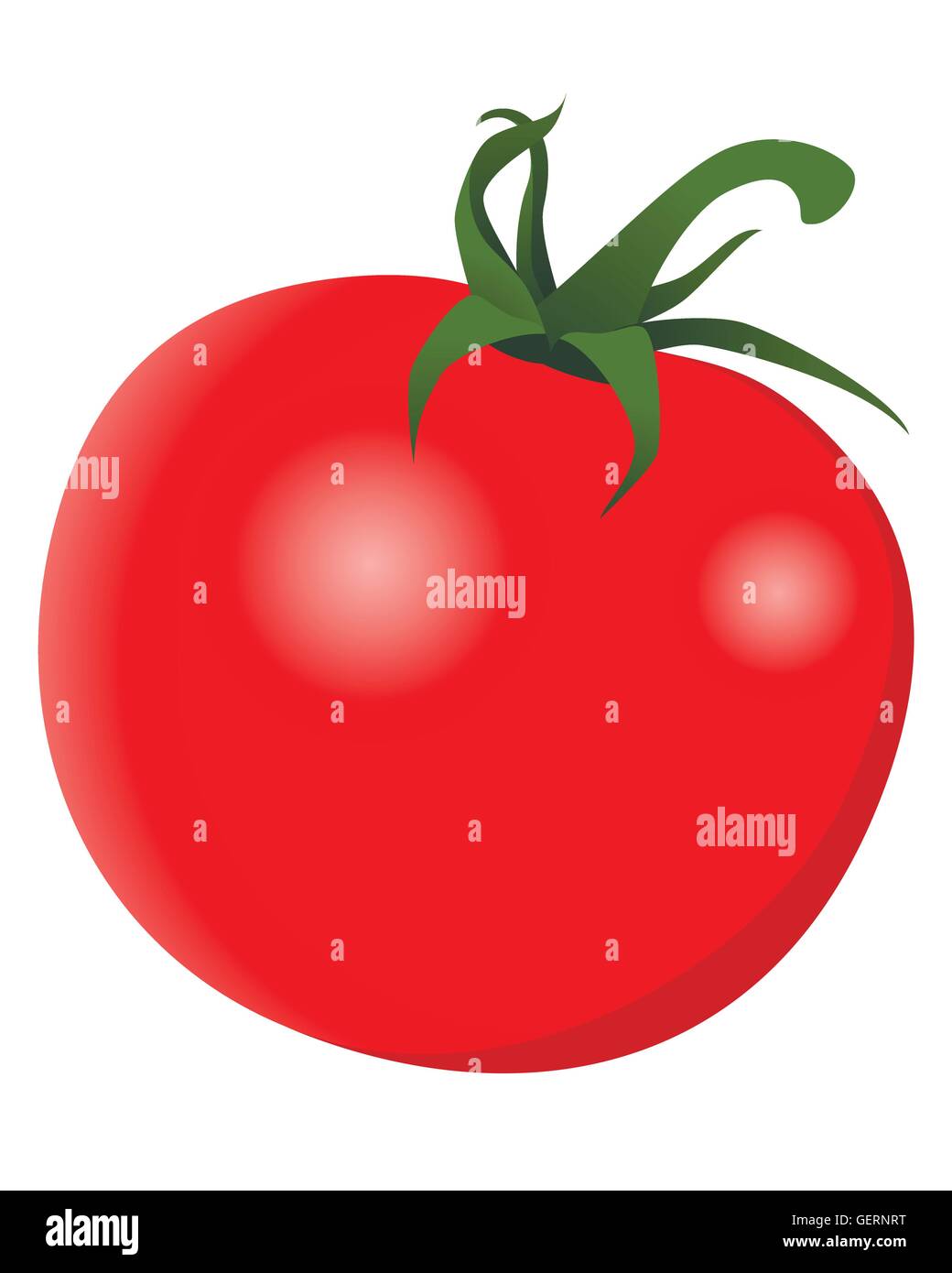 Vector illustration of a red fresh tomato Stock Vector Image & Art - Alamy