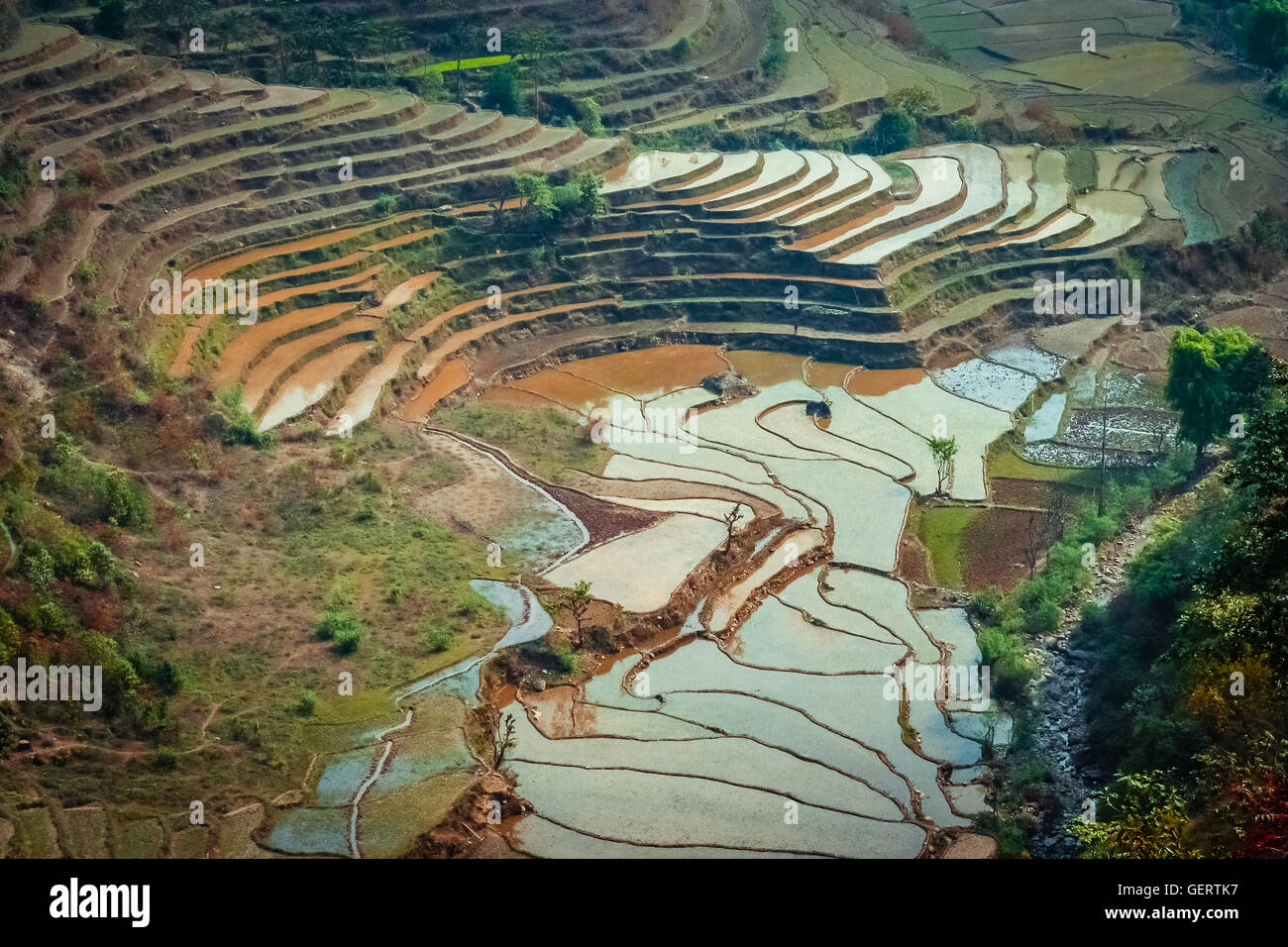 Green terraced rice fields on the mountain slopes in Nepal Stock Photo ...