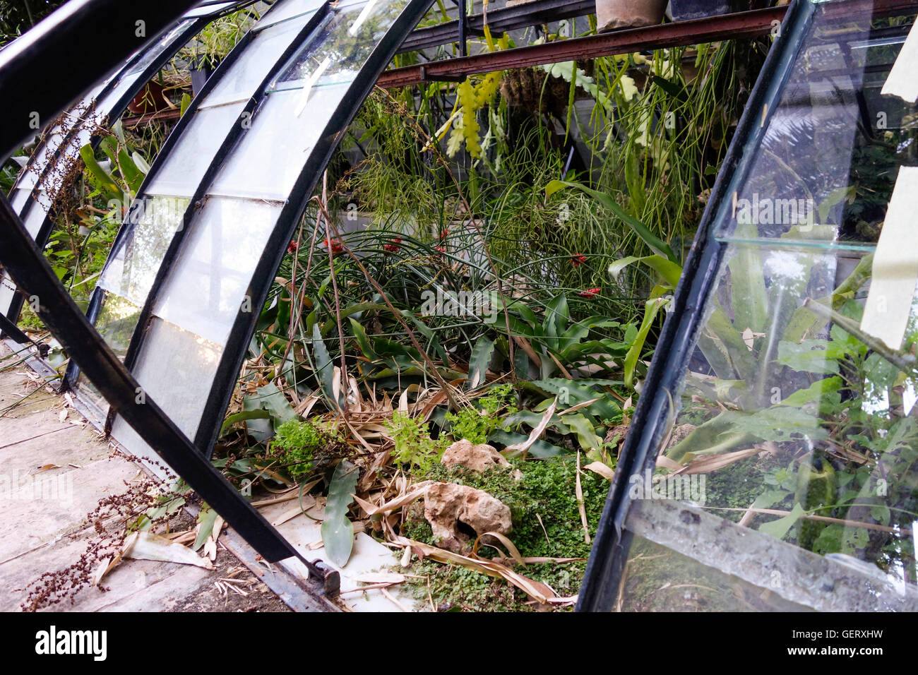 Research greenhouses hi-res stock photography and images - Alamy