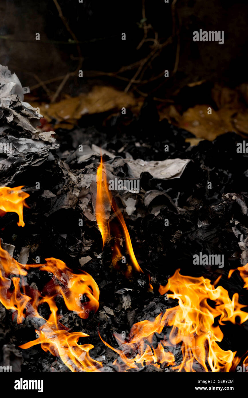 frame of fire burning on paper in the forest,background Stock Photo - Alamy