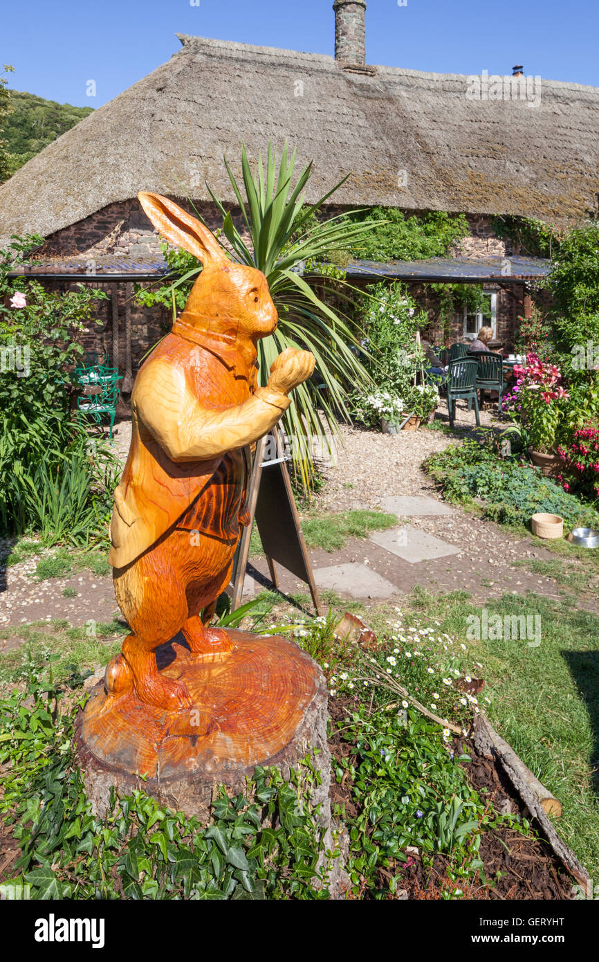 Rabbit holes uk hi-res stock photography and images - Alamy