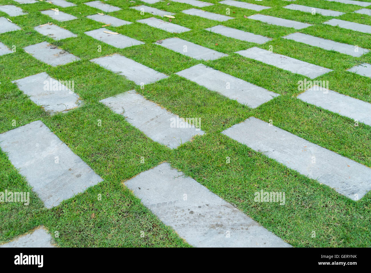 Grass paving block hi-res stock photography and images - Alamy