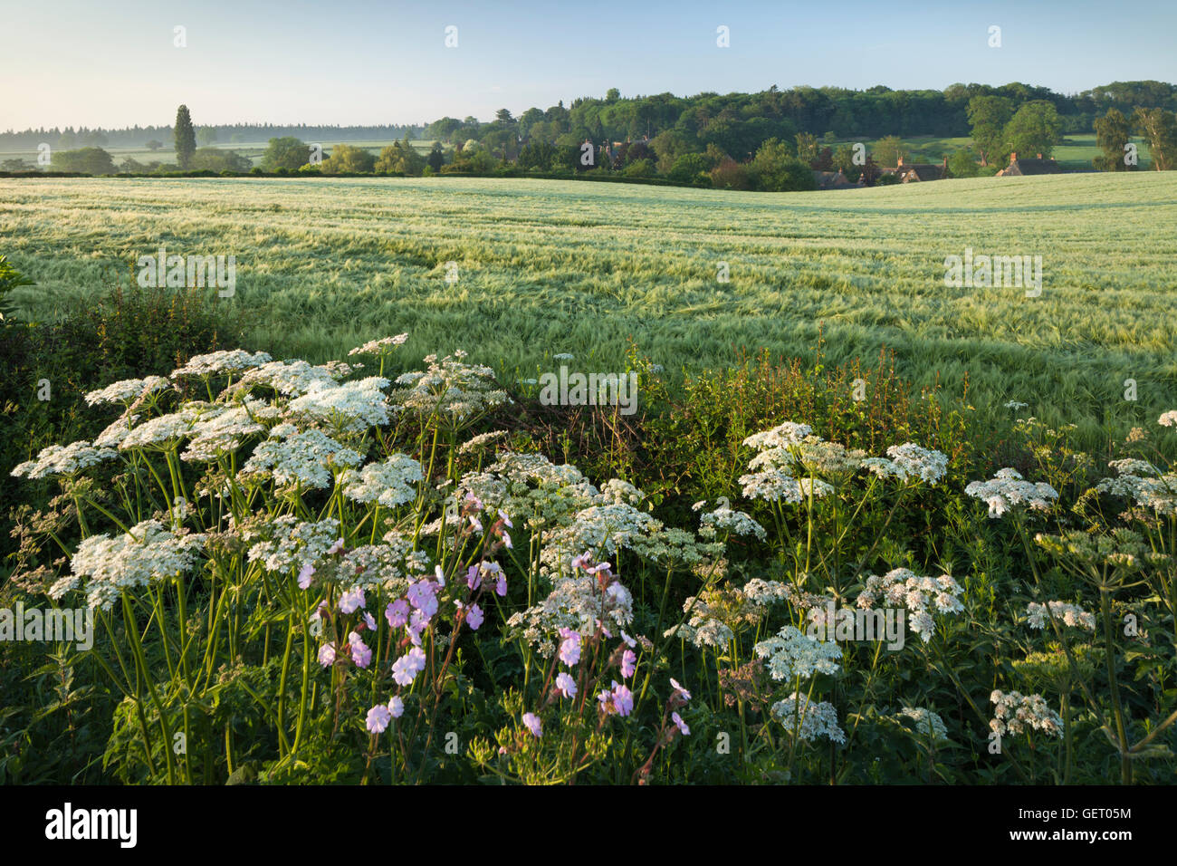 Harlestone hi-res stock photography and images - Alamy