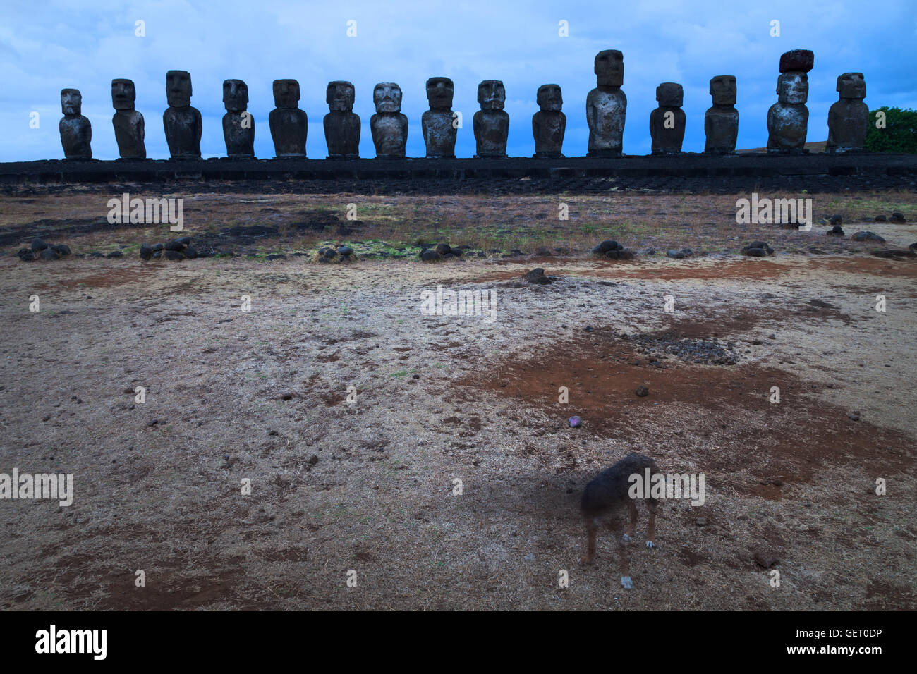 Dog stone sculptures hi-res stock photography and images - Alamy