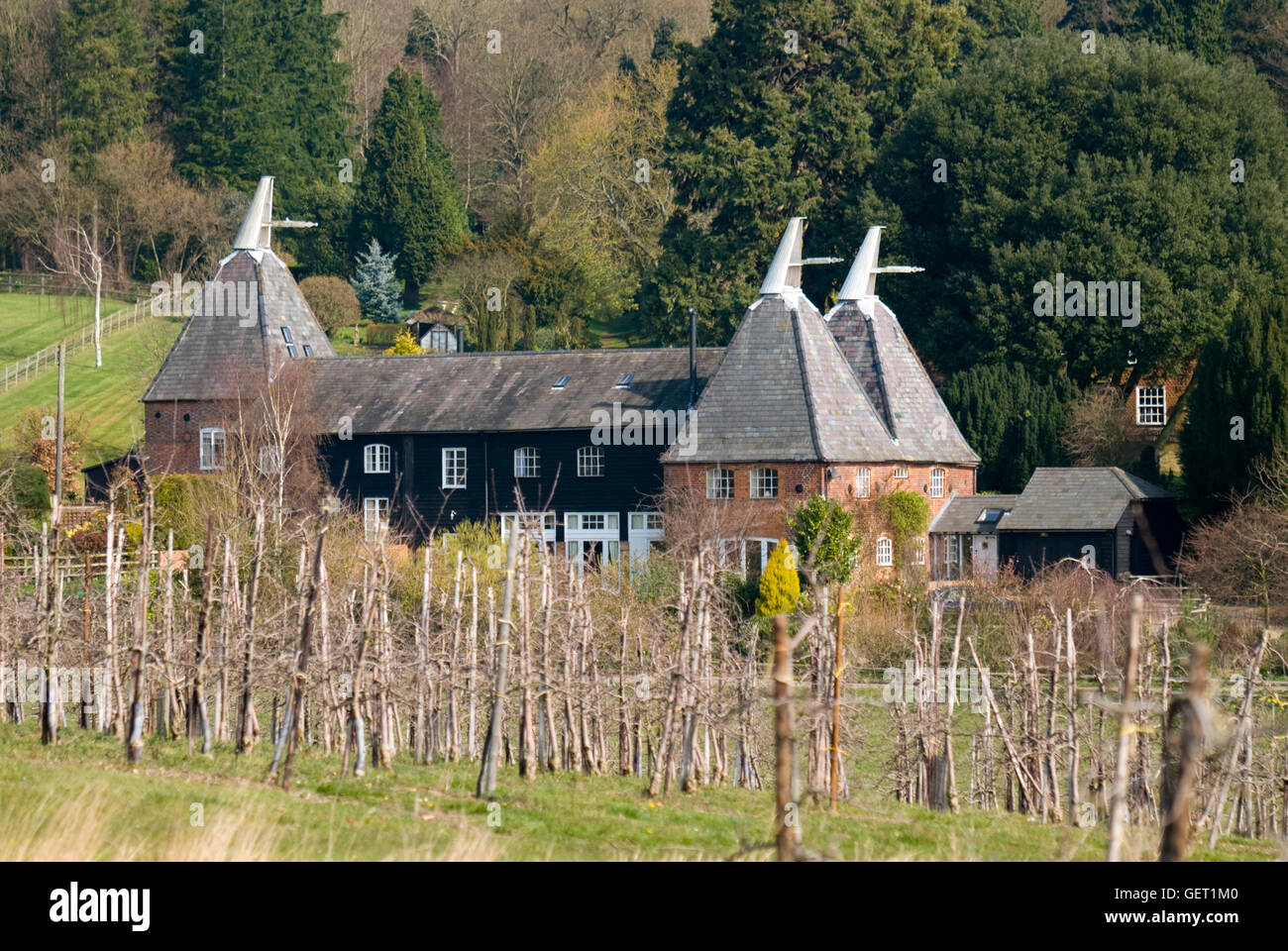 Hop growing region hi-res stock photography and images - Alamy
