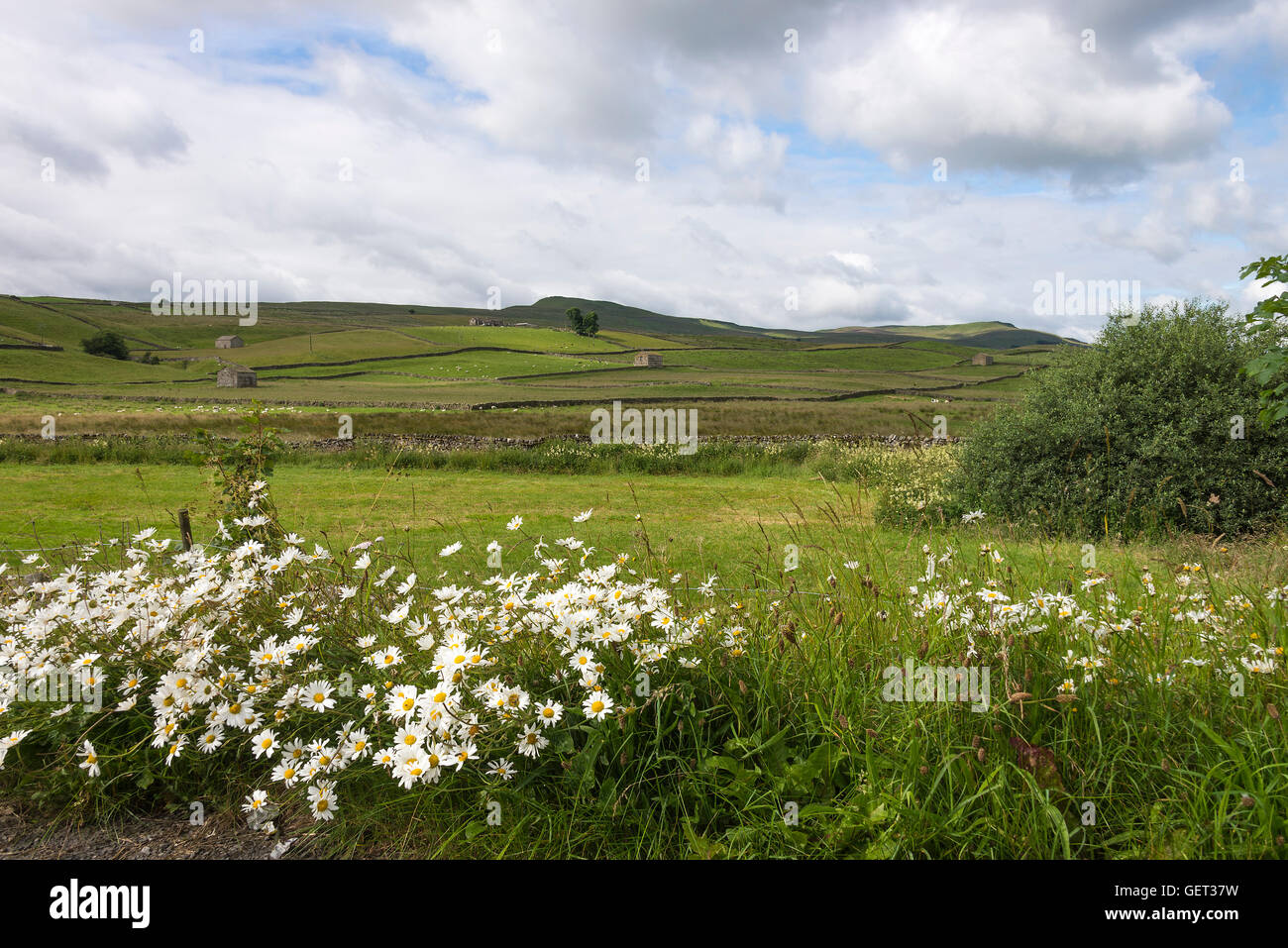 The View Towards Gayle and Dodd Fell from Bainbridge in the Yorkshire ...
