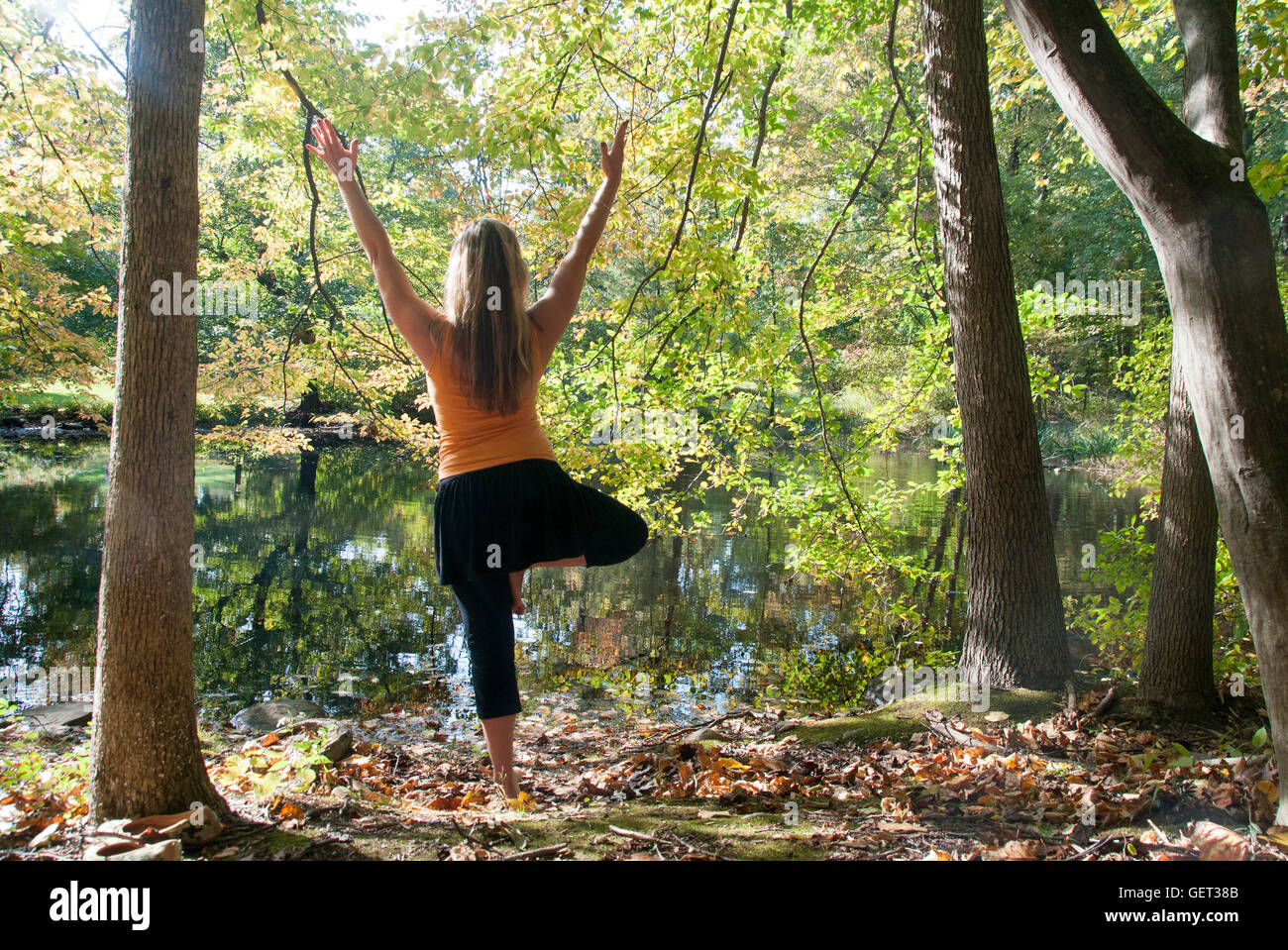 Tree Pose in the Woods Stock Photo - Alamy