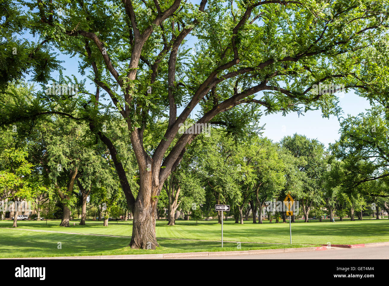 College campus during the Summer Stock Photo - Alamy