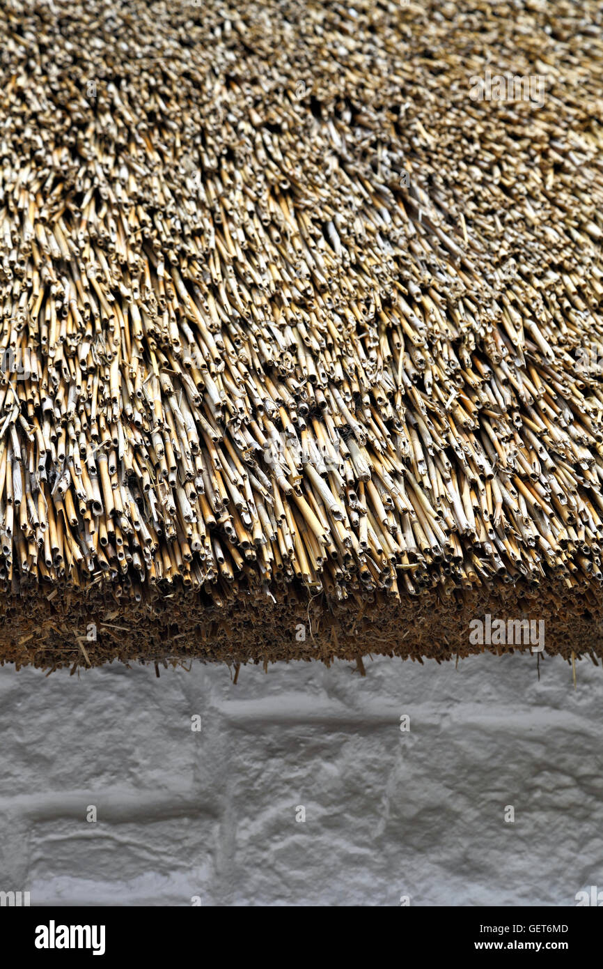 Thatch thatched thatching hi-res stock photography and images - Alamy