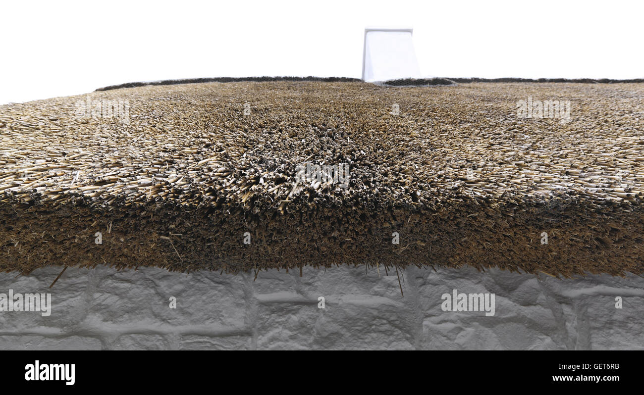 Thatch thatched thatching hi-res stock photography and images - Alamy