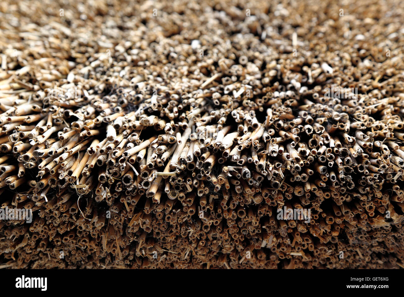 Thatch thatched thatching hi-res stock photography and images - Alamy