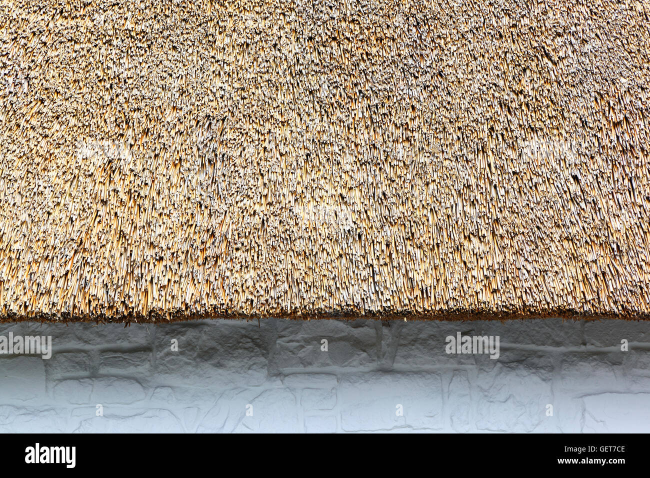 Thatch thatched thatching hi-res stock photography and images - Alamy