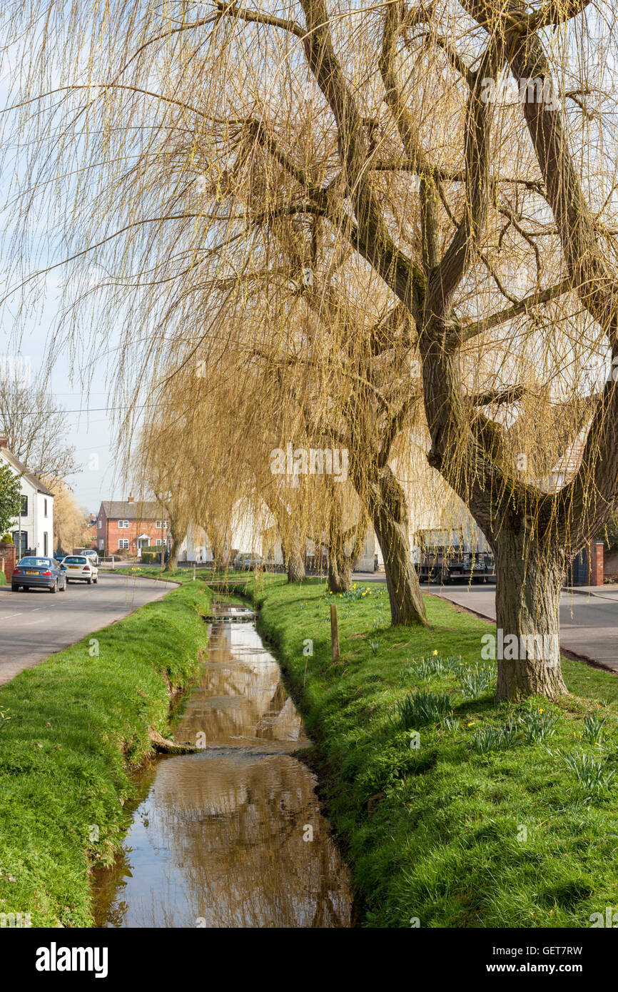 The River Mantle in the rural village of Wymeswold, Leicestershire ...