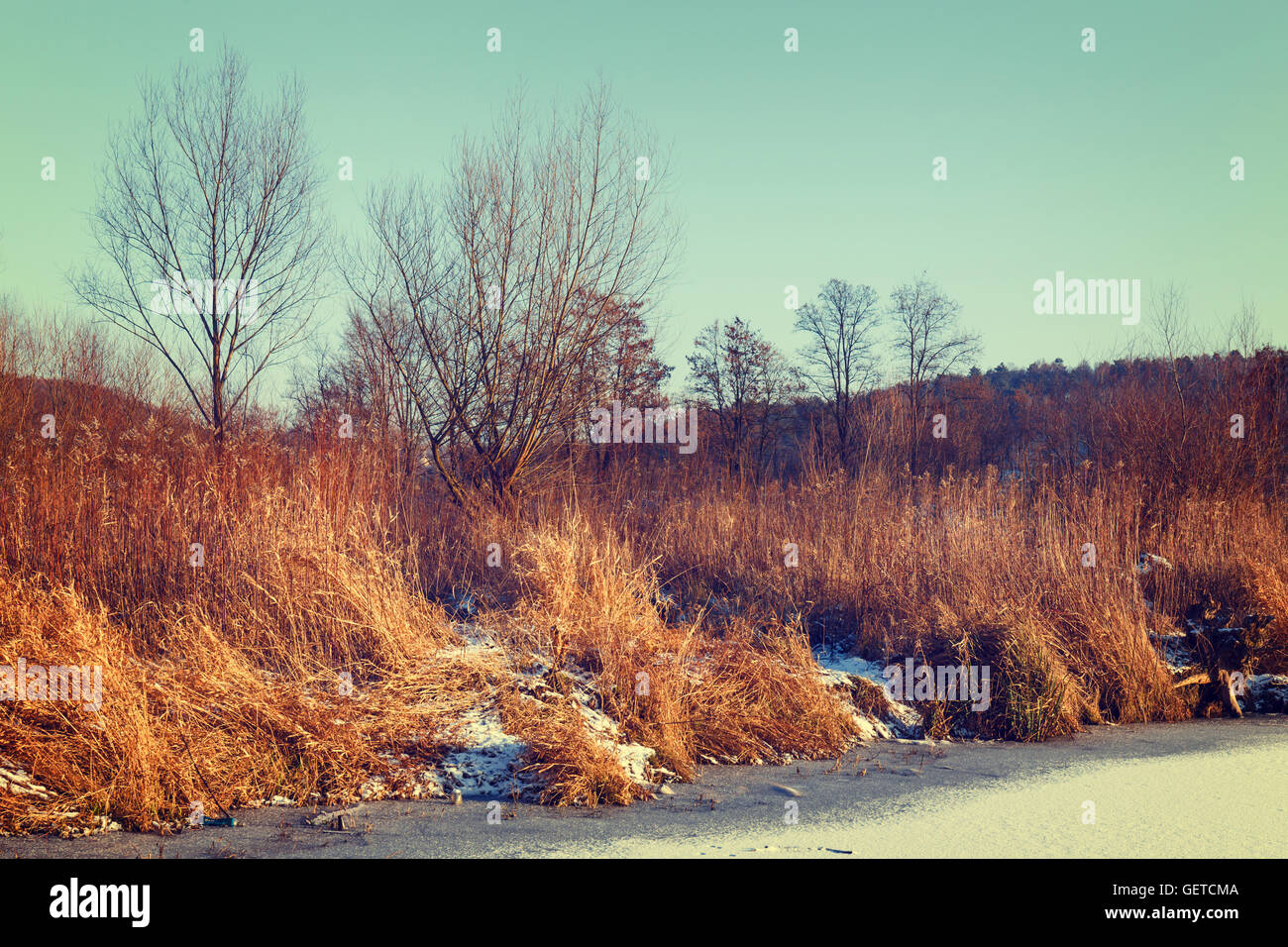 dry grass field, vintage color tone Stock Photo - Alamy