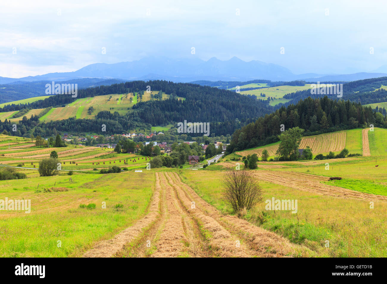 View from Spisz to The Tatra Mountains, Poland Stock Photo - Alamy