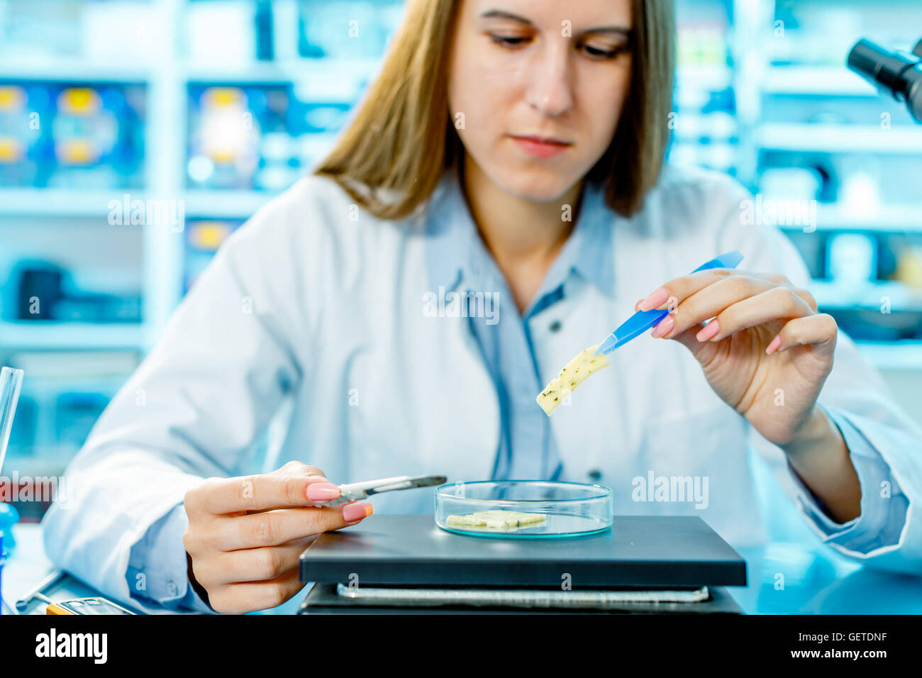 microbiological and chemical quality control of cheese Stock Photo - Alamy