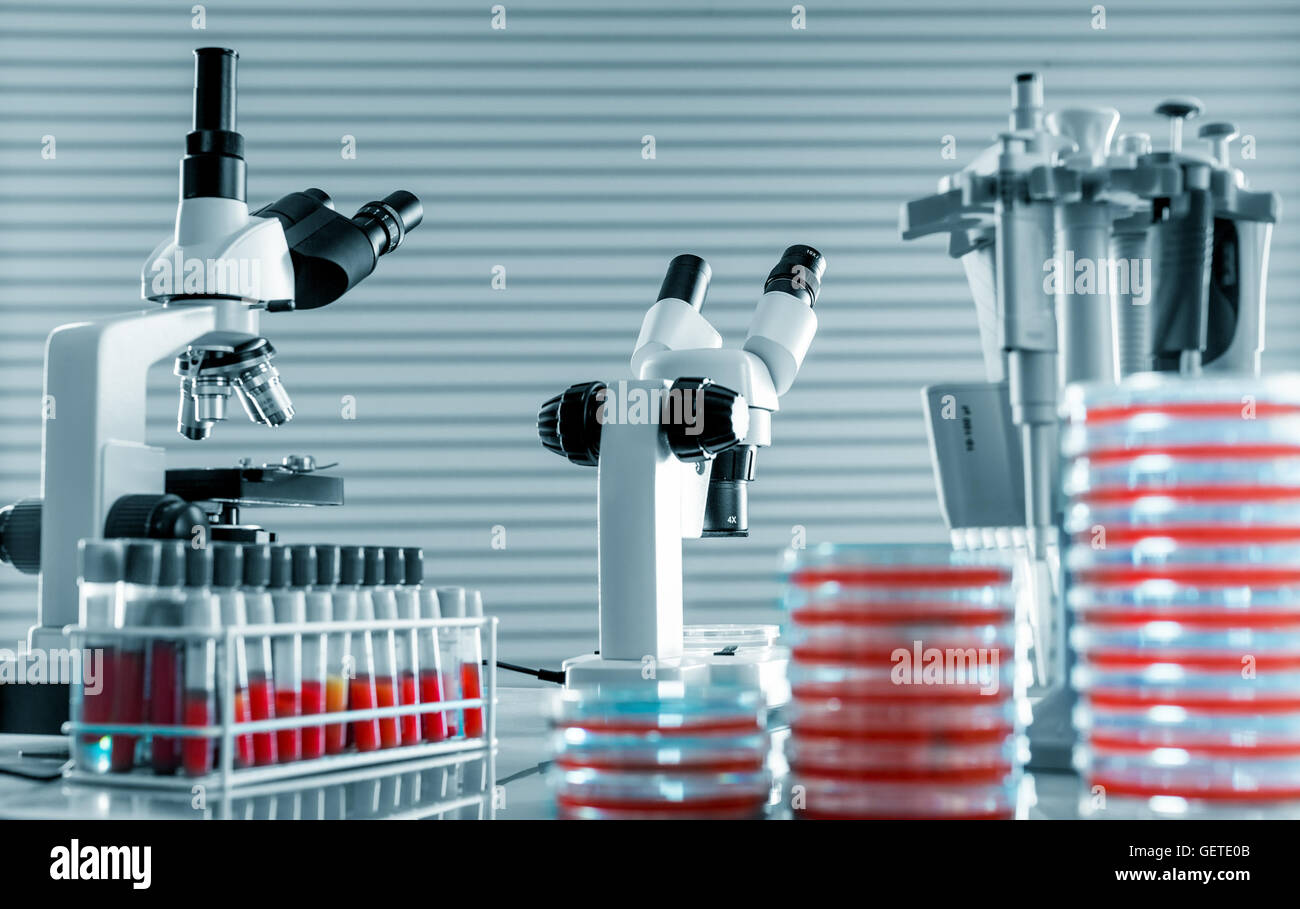workbench in microbiological laboratory Stock Photo - Alamy