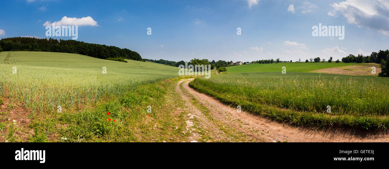 Field panorama hi-res stock photography and images - Alamy
