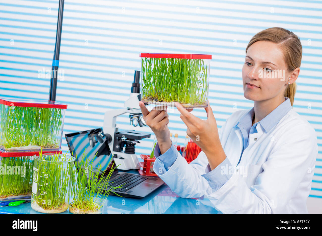 Vaccination technician hi-res stock photography and images - Alamy