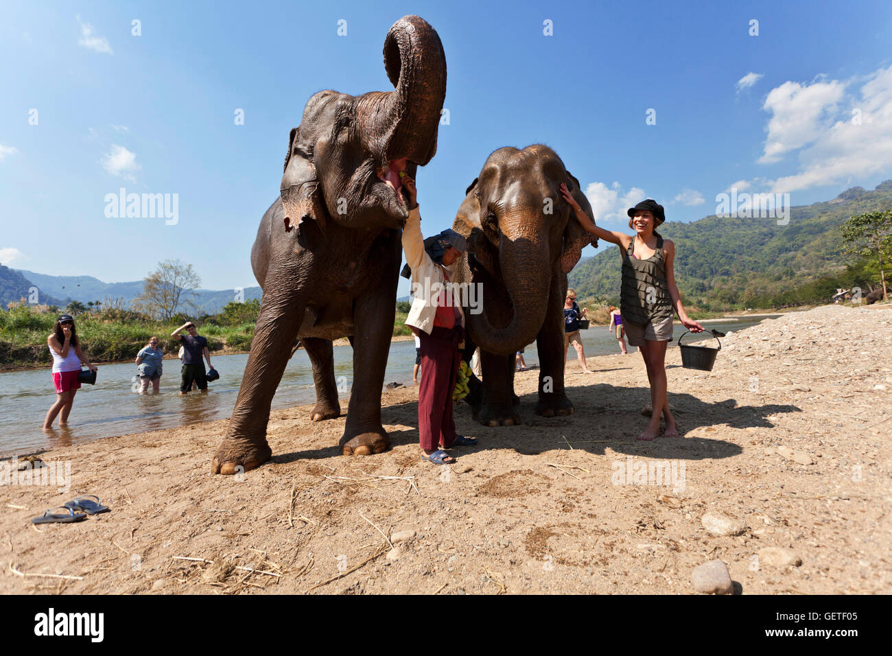Elephants chiang mai washed hi-res stock photography and images - Alamy