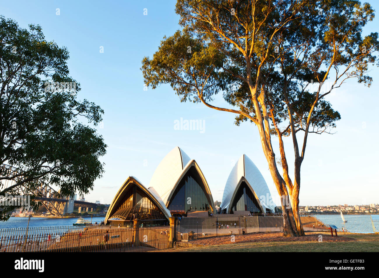 A view of the Sydney opera House from the Royal Botanical Gardens Stock ...