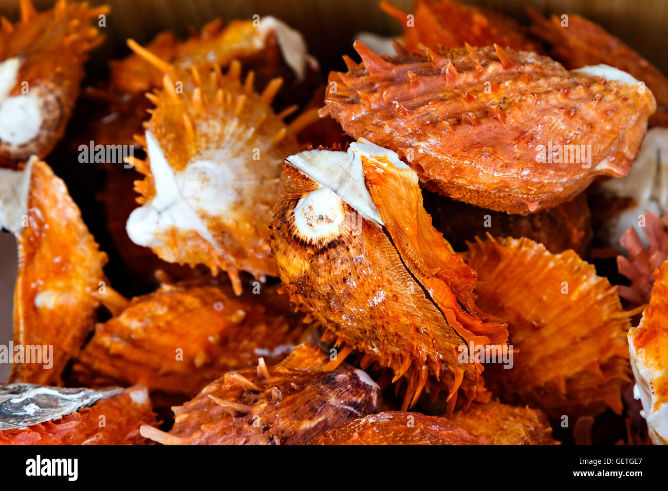 Spiked red clam in the harbour market. Horizontal image Stock Photo - Alamy