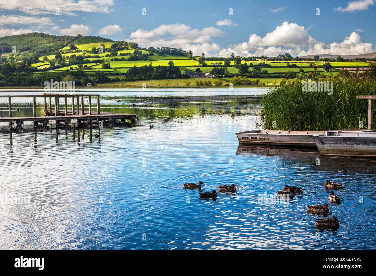 View across Llangors Lake in the Brecon Beacons National Park Stock ...