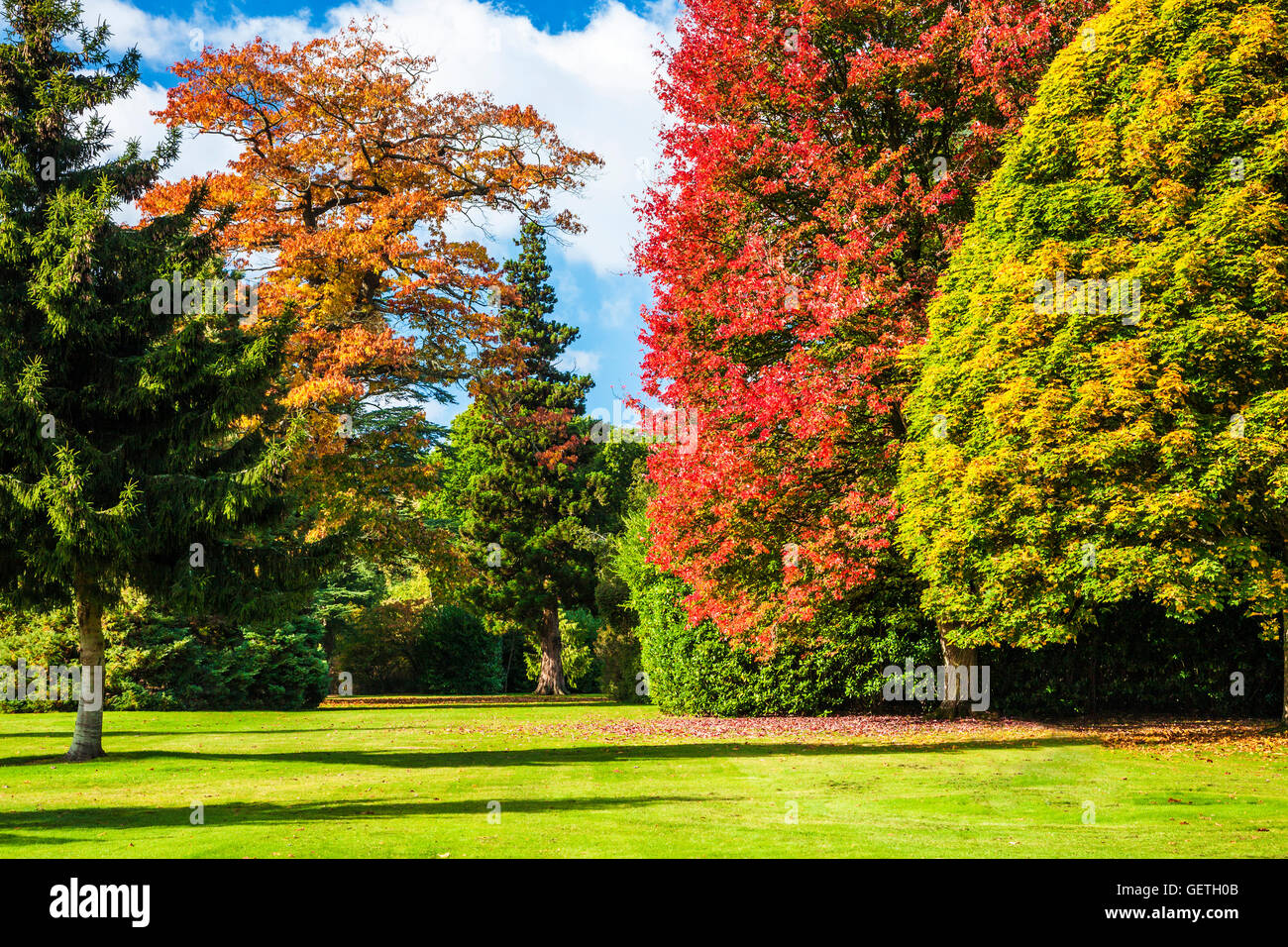 Autumn trees in the parkland of the Bowood Estate in Wiltshire Stock ...