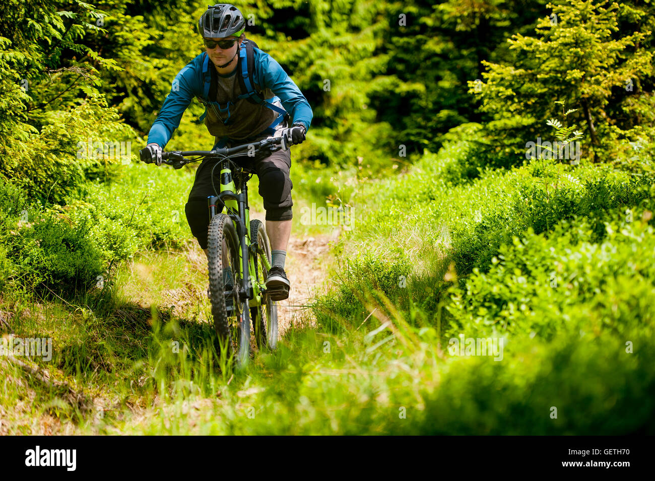 Man on mountain bike rides on trail in the forest Stock Photo - Alamy