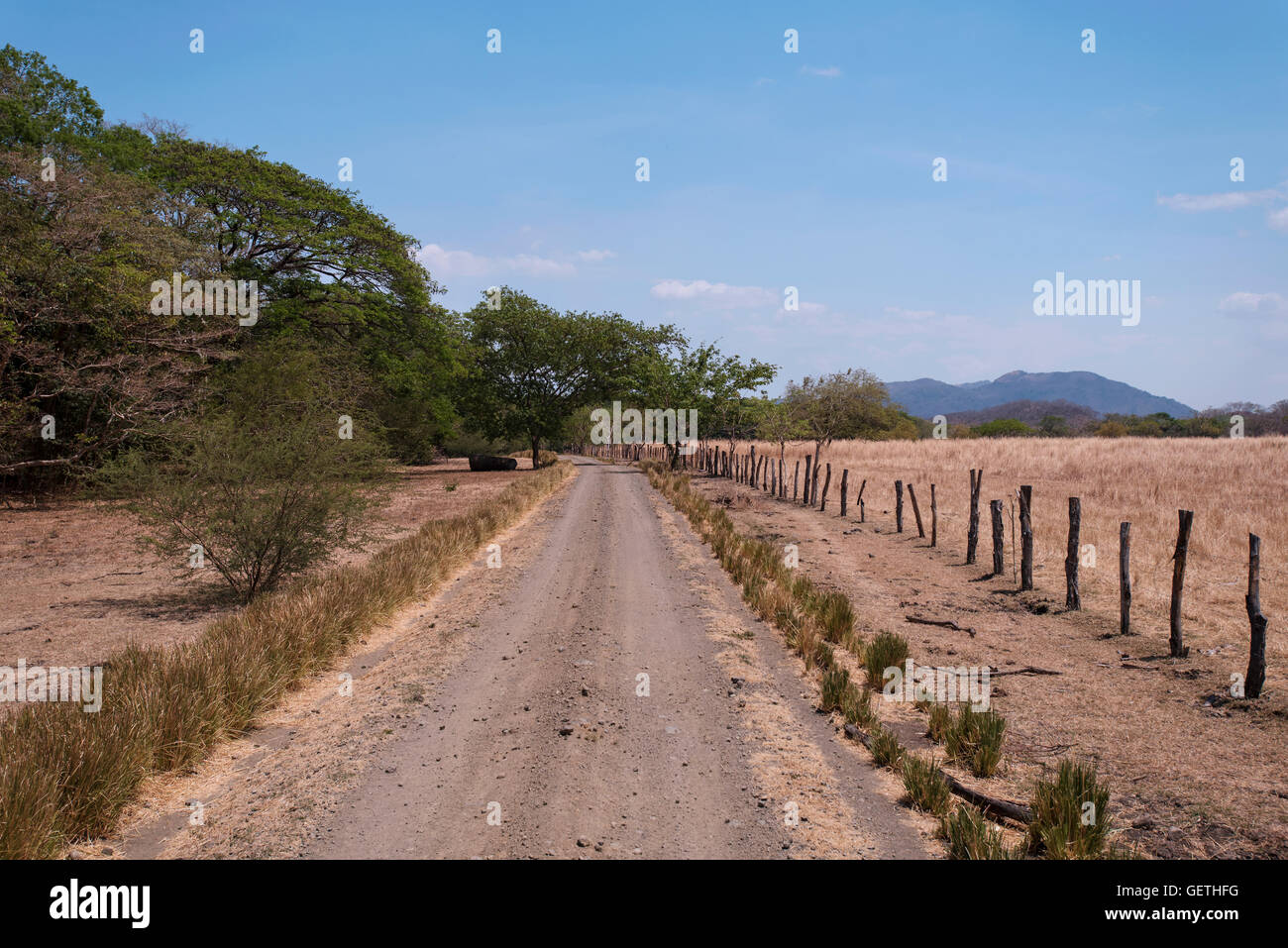 Guanacaste forest hi-res stock photography and images - Alamy