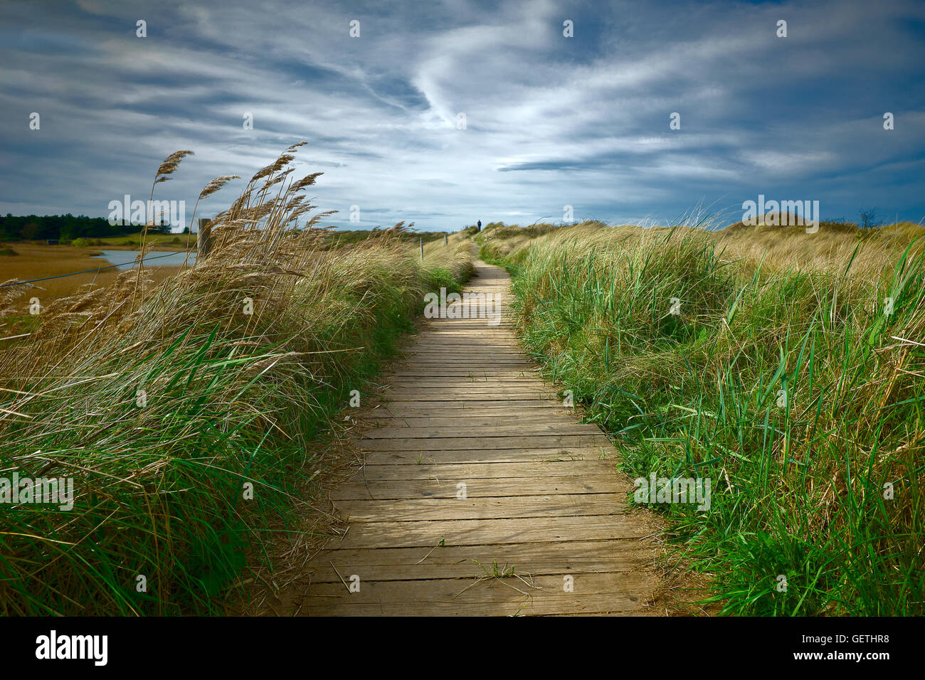 Duckboard hi-res stock photography and images - Alamy