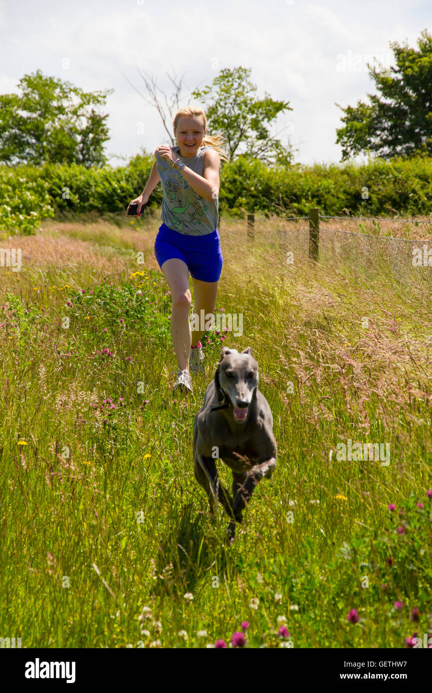 A young woman runs after a greyhound Stock Photo - Alamy