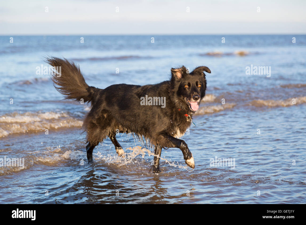 Uk sea border hi-res stock photography and images - Alamy