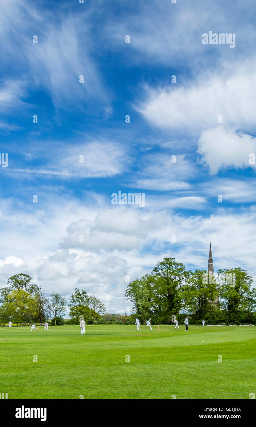 Cricket field hi-res stock photography and images - Alamy