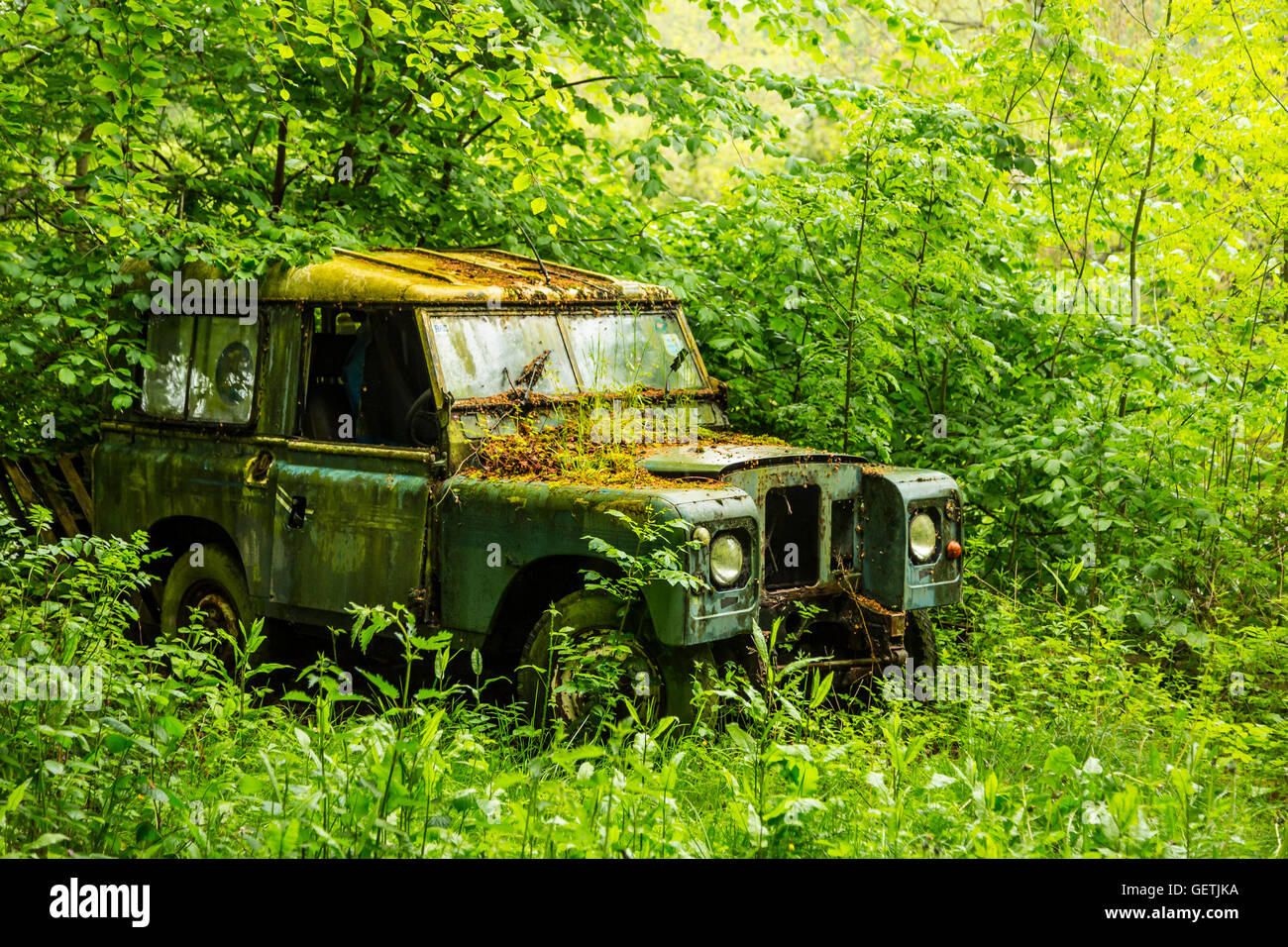 An old Land Rover is reclaimed by nature Stock Photo - Alamy