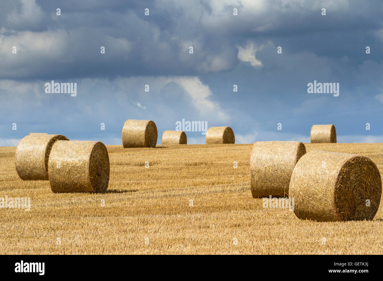 Round bales in a stubble field Stock Photo - Alamy