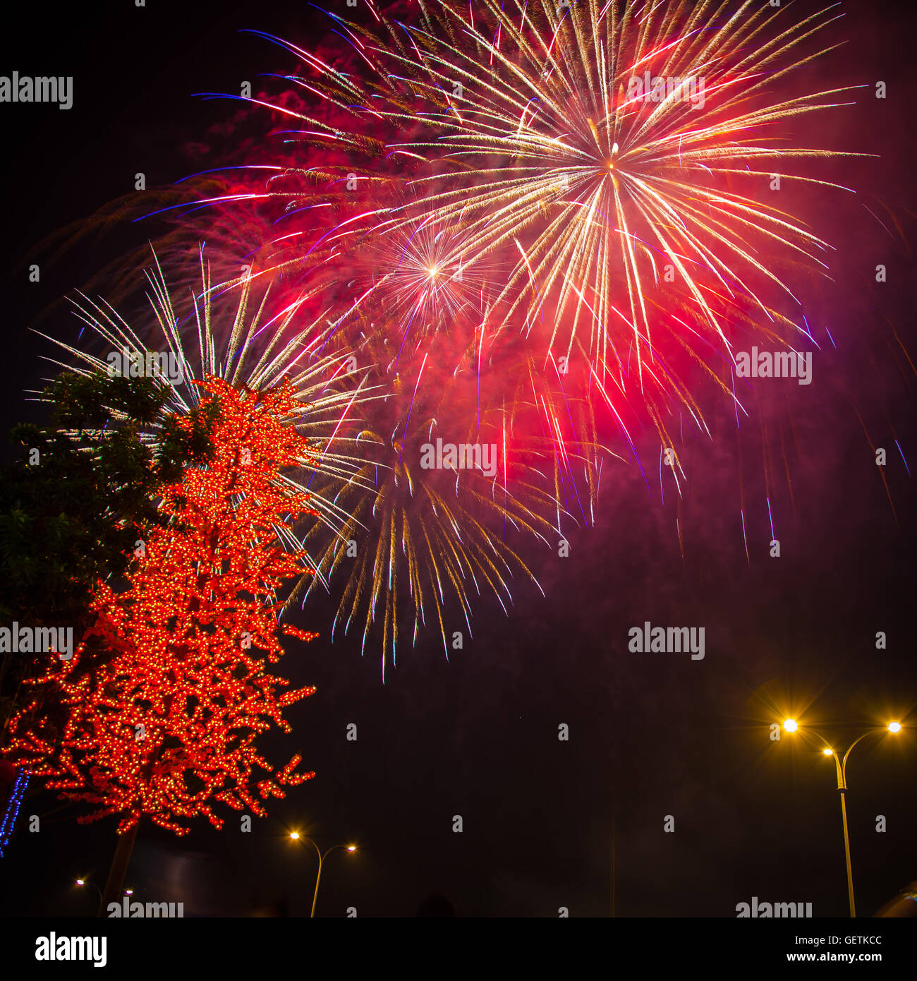 Multiple red purple fireworks above lit tree Stock Photo - Alamy