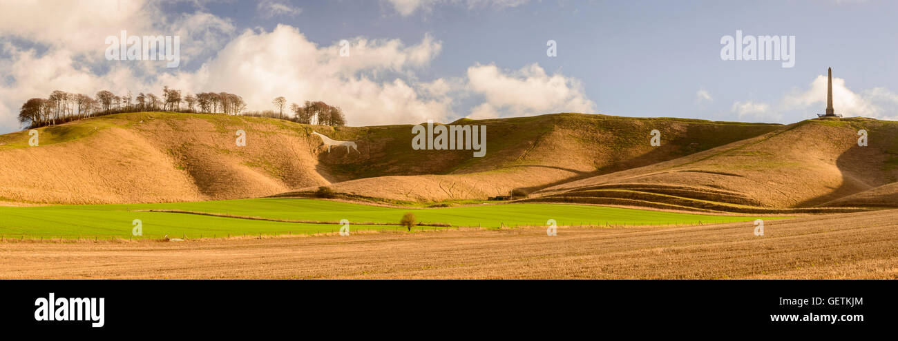 A view of the White Horse at Cherhill Stock Photo - Alamy