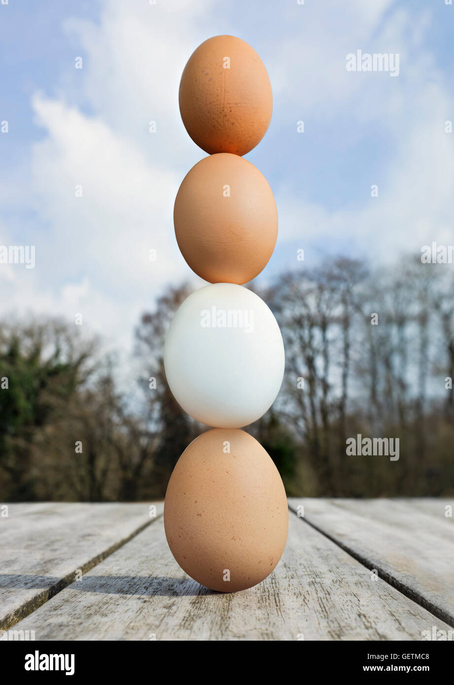 Free range eggs balancing on top of one another Stock Photo - Alamy