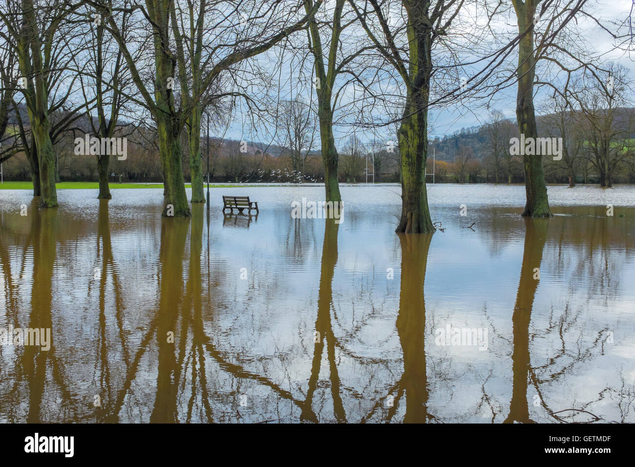 Flooded Sports Pitch High Resolution Stock Photography and Images - Alamy