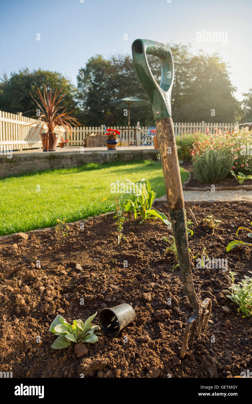 Garden fork in a flower bed Stock Photo - Alamy