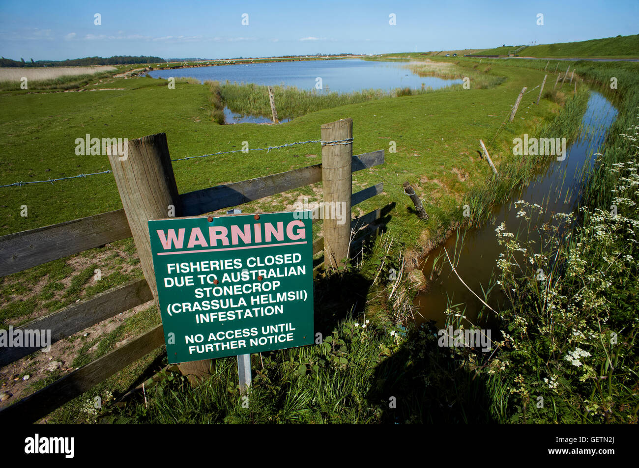 A warning notice of infestation on Kent marsh land Stock Photo - Alamy
