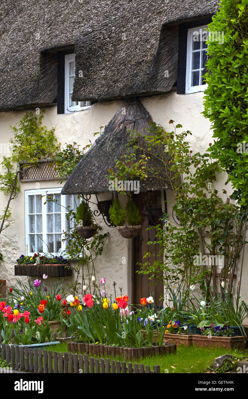 A traditional English thatched cottage in springtime Stock Photo - Alamy