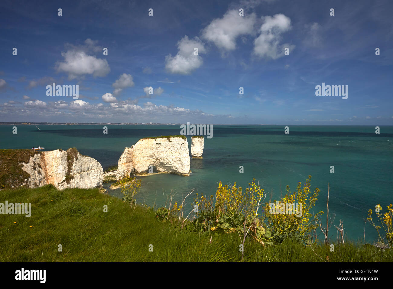 The Old Harry chalk cliffs and stacks with Poole Bay in the distance ...