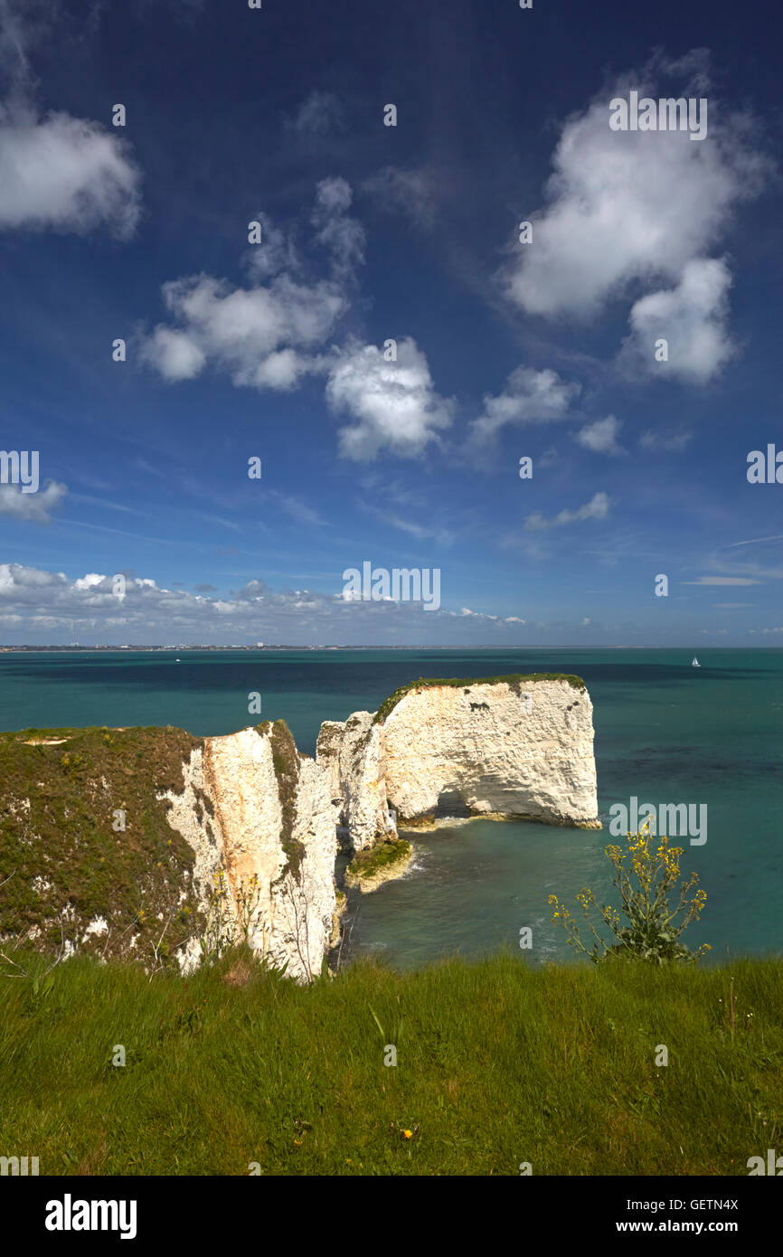 The Old Harry chalk cliffs and stacks with Poole Bay in the distance ...