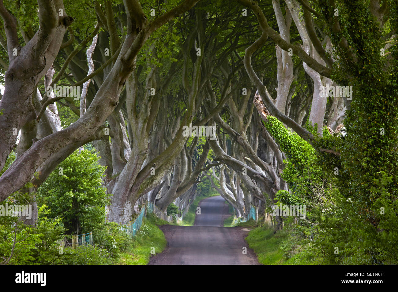 Tangled road game hi-res stock photography and images - Alamy